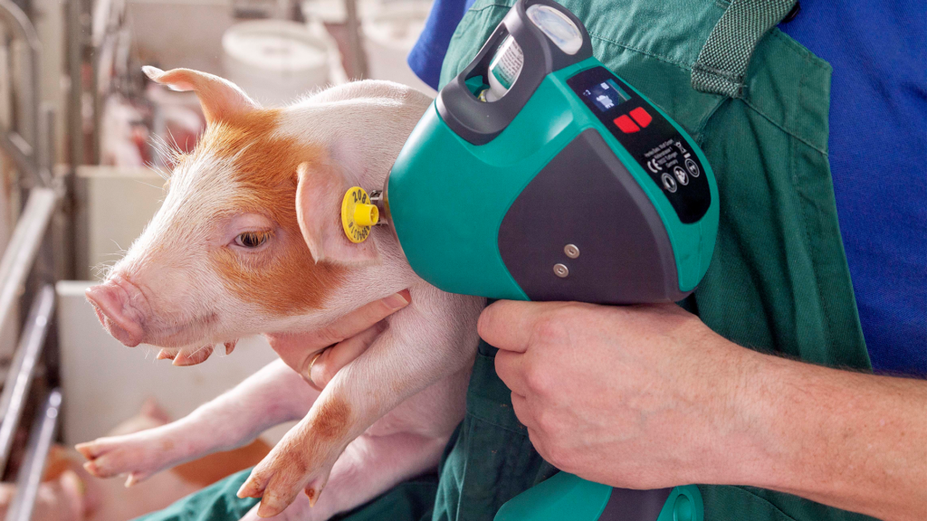 Disease prevention - AnimalhealthEurope